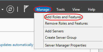How to Install .NET Framework 3.5 using Server Manager on Windows ...